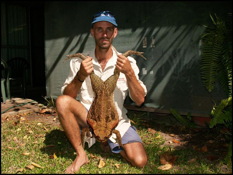 Adventures of a Middle-Aged Drama Queen: Killer Toads Invade Florida