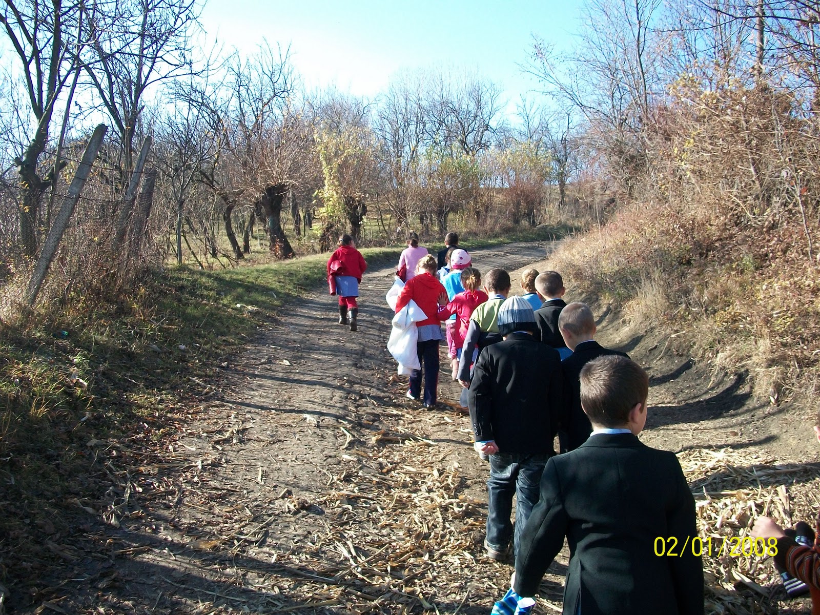 Valorile acestei vremi: BOGATIILE TOAMNEI-2010