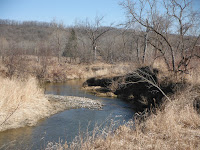 Manitoba Geology: The Manitoba Escarpment - vestiges of an ancient ocean