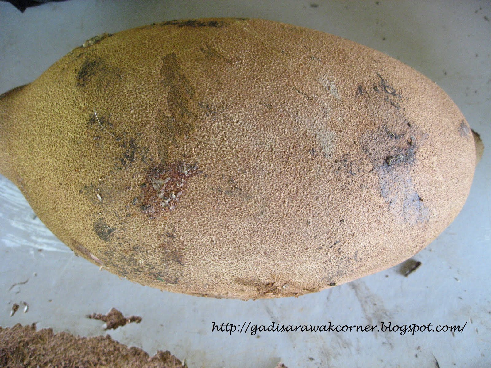 Buah Kepayang Atau Buah Keluak (Part 1)