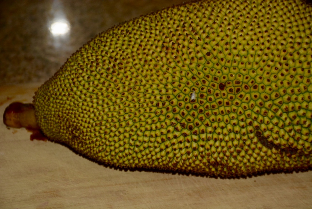 Nepali Tummy!!: Raw Jackfruit Curry (Katahar ko Tarkari) Recipe!!