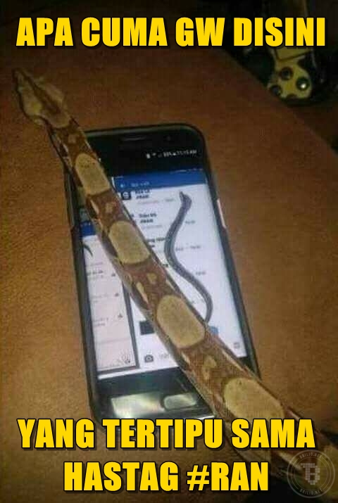 8 Meme 'Ular di Facebook' Ini Sindir Kamu yang Dibodohi Ketik #RAN ...