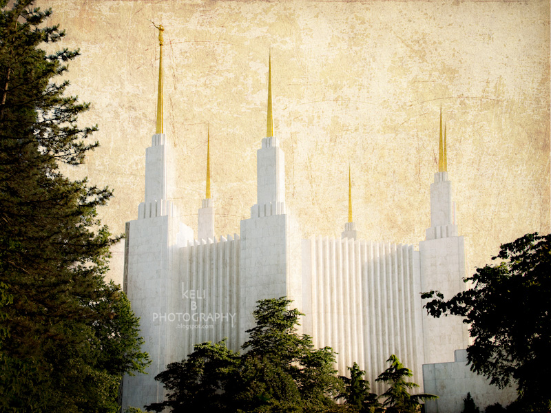 LDS Temple Pictures: LDS Washington DC Temple