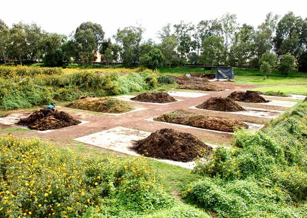 DESARROLLO SUSTENTABLE : LA COMPOSTA