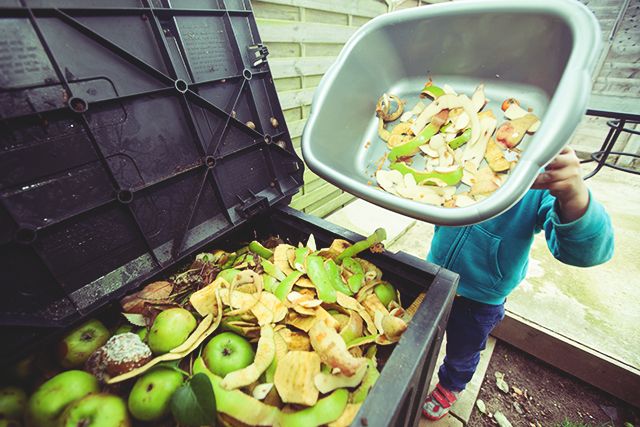 European Parliament Votes to Halve Food Waste by 2030 Thanks to Viral ...