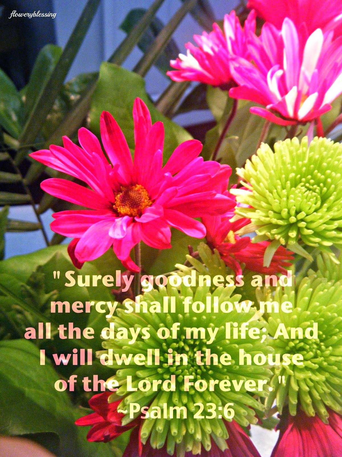 Flowery Blessing: Flowery Blessing:
