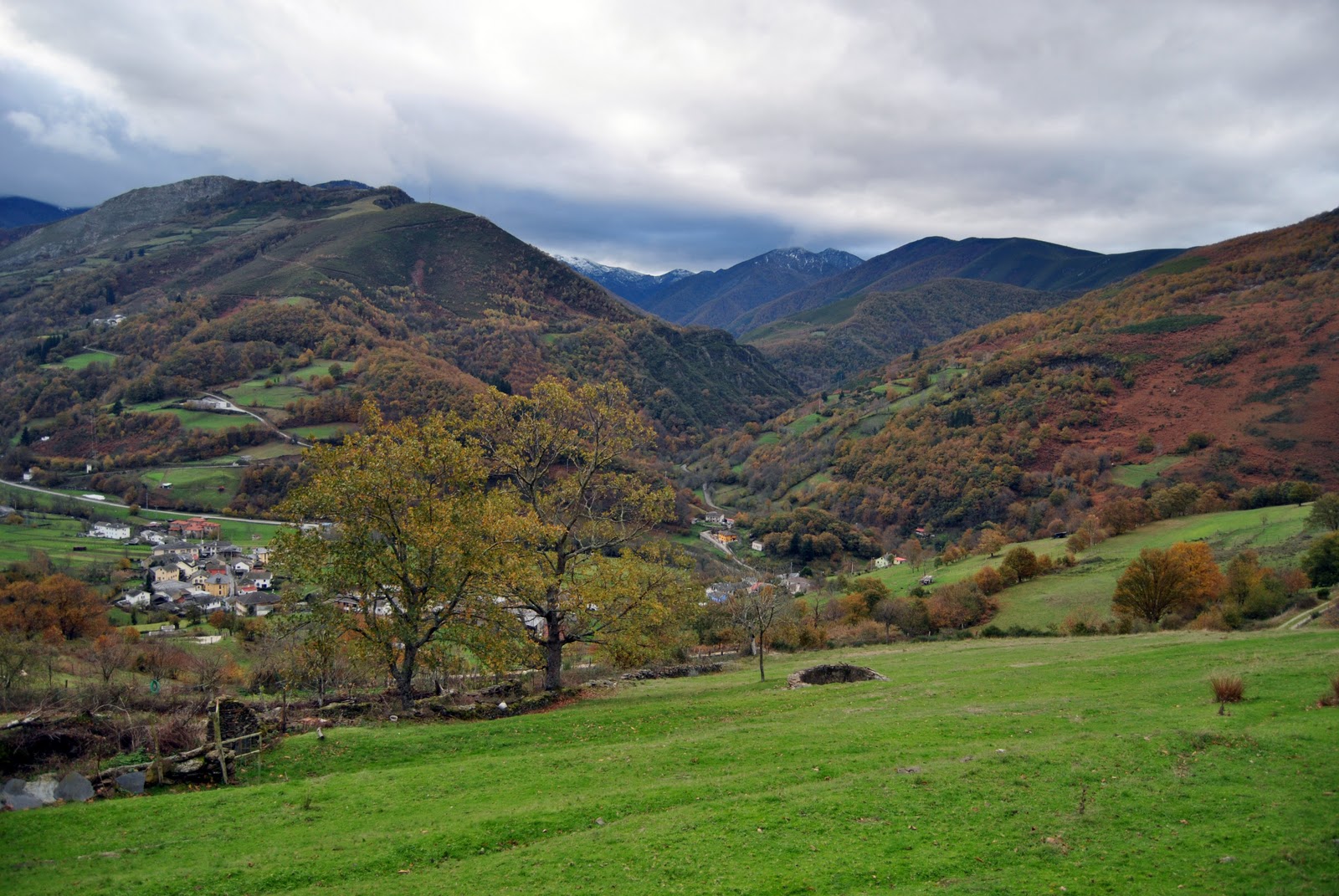 Reserva Natural Integral de Muniellos: Espacios Naturales Protegidos