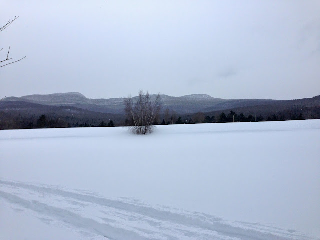 Skiglisse: À la découverte de la vallée Ruiter