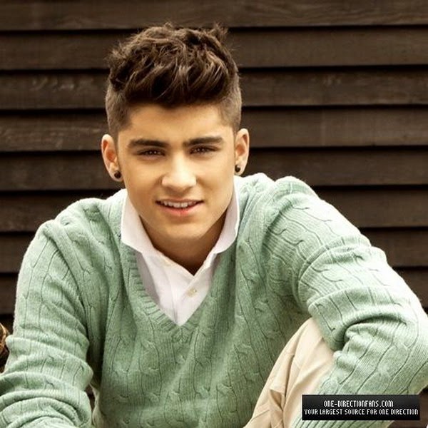 One Direction: Zayn Malik