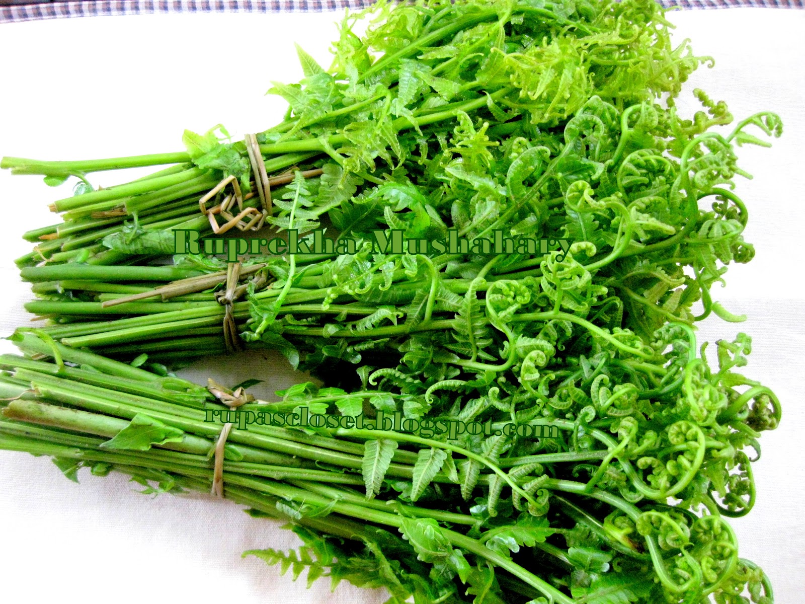 Feelings: Dhekiakhowa Bor Namghor