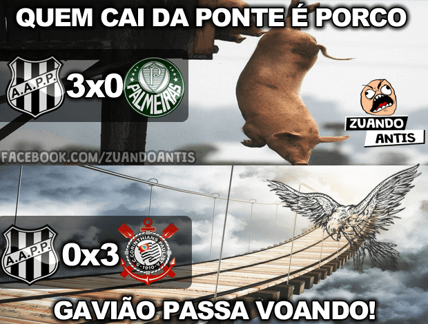 Quem cai da Ponte é porco, gavião passa voando - Zuando Antis