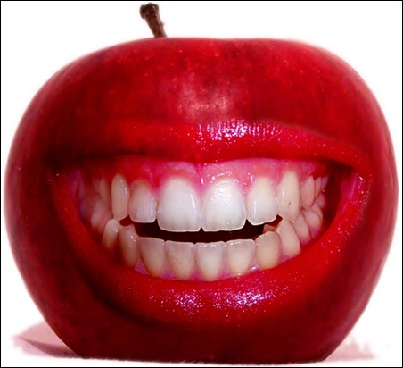 MANUFACTURER'S HANDBOOK: FRUIT OF OUR LIPS