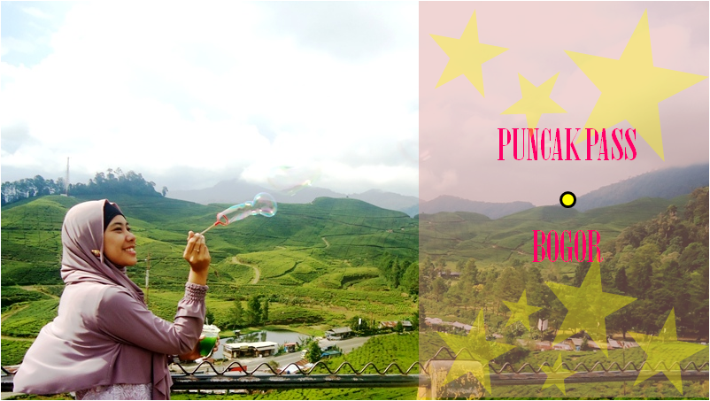 Inilah Alasan Kenapa Puncak Bogor Selalu Menjadi Magnet Warga Ibukota