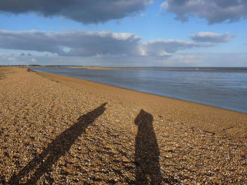 Wild and Wonderful: February 2012