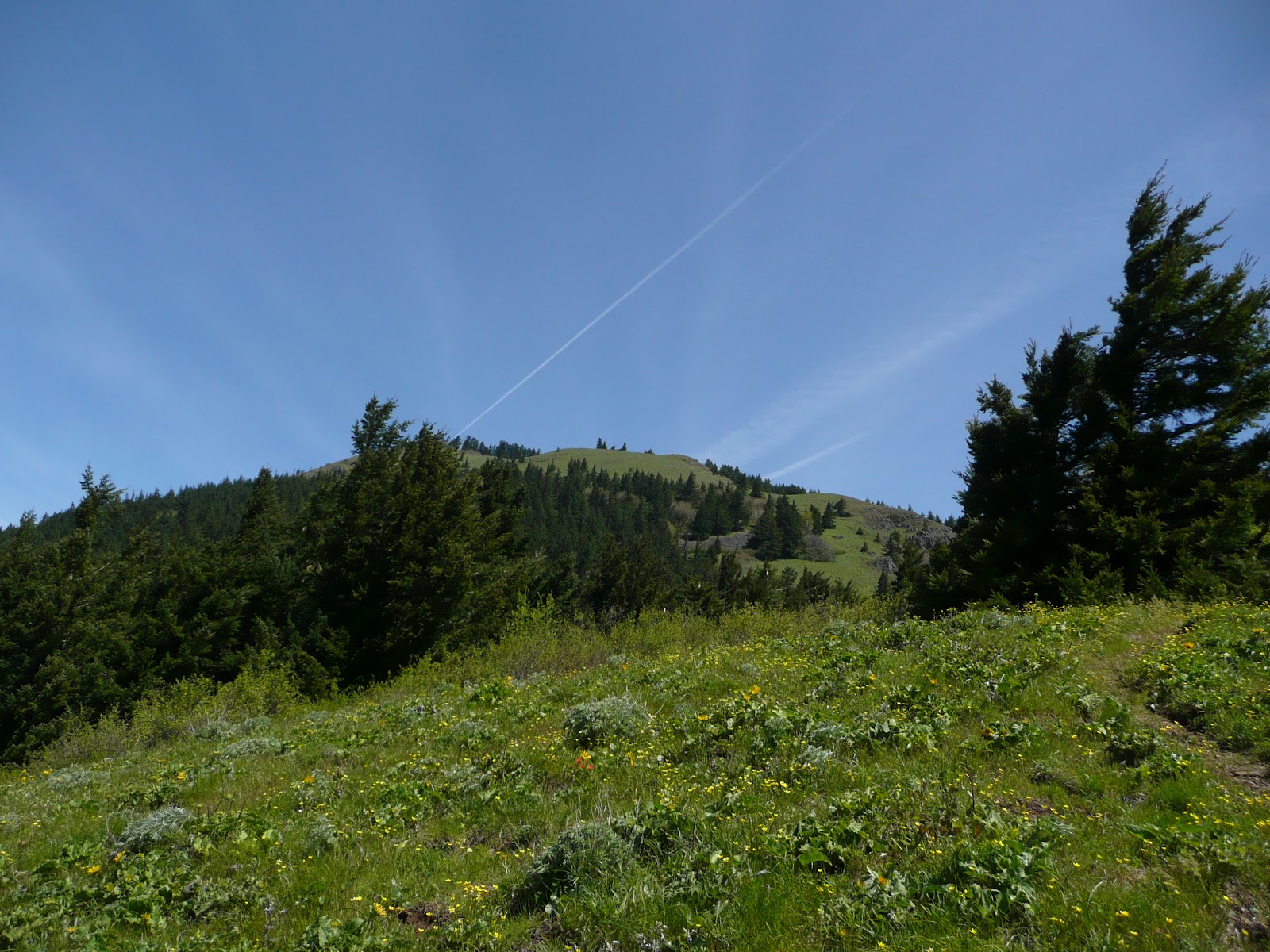 Hiking Oregon: Dog mountain