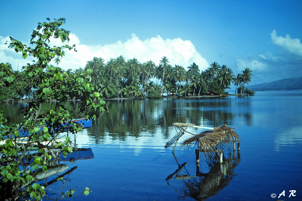 Des voyages de notre jeunesse ...: Jardin botanique de Papeari