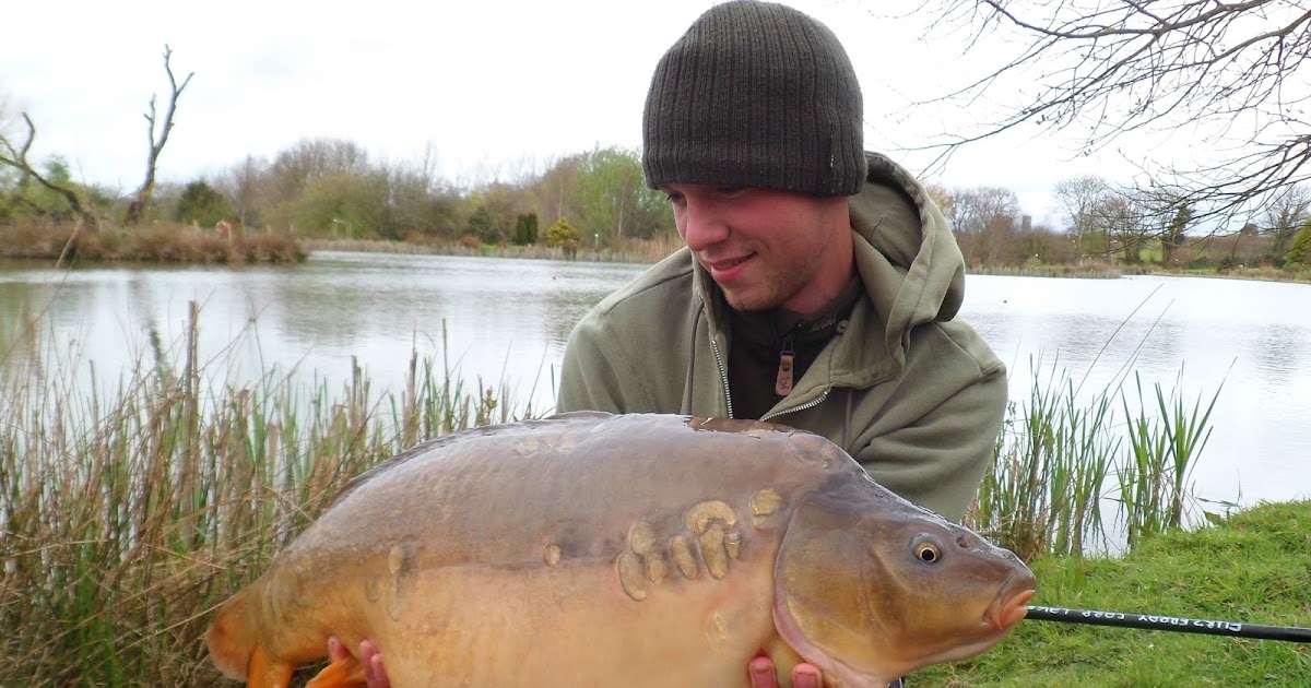 On The Bank Angling: The Carp strike back! A weeks fishing at Furzebray ...