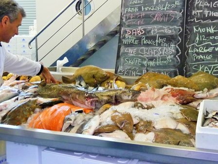 67 going on 50… : HOW TO...GET WALLET FRIENDLY FISH