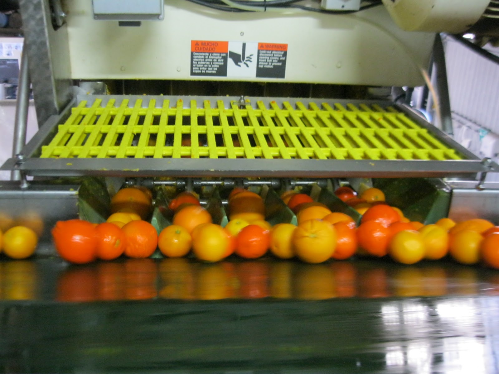 [Fair.ly Traded] Food for Thought: Citrusdal Hospitality - ALG Boerdery