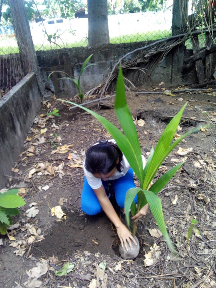 Mag Tree Planting Din Kayo ~ BAHAY KUBO
