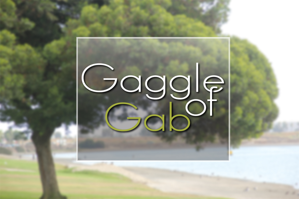 Gaggle of Gab: TEASER.