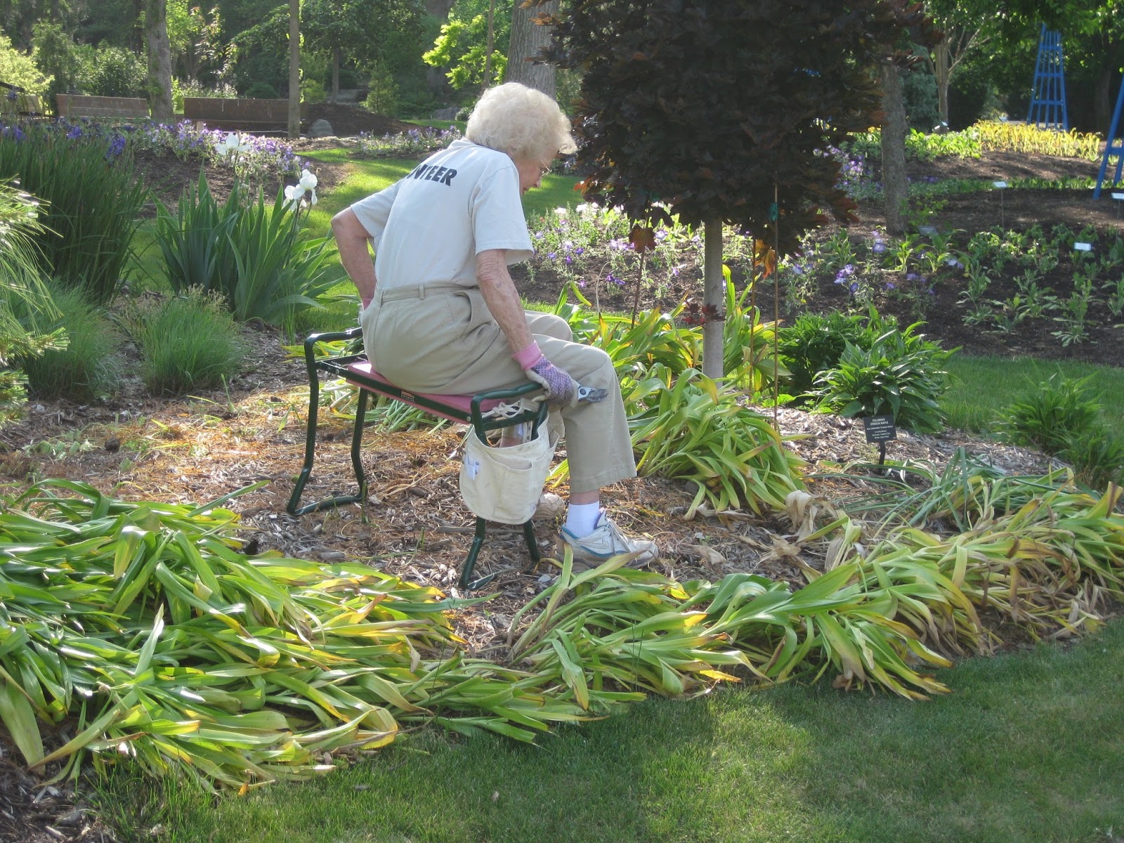 Rotary Botanical Gardens - Hort Blog: Adaptive Gardening Tools