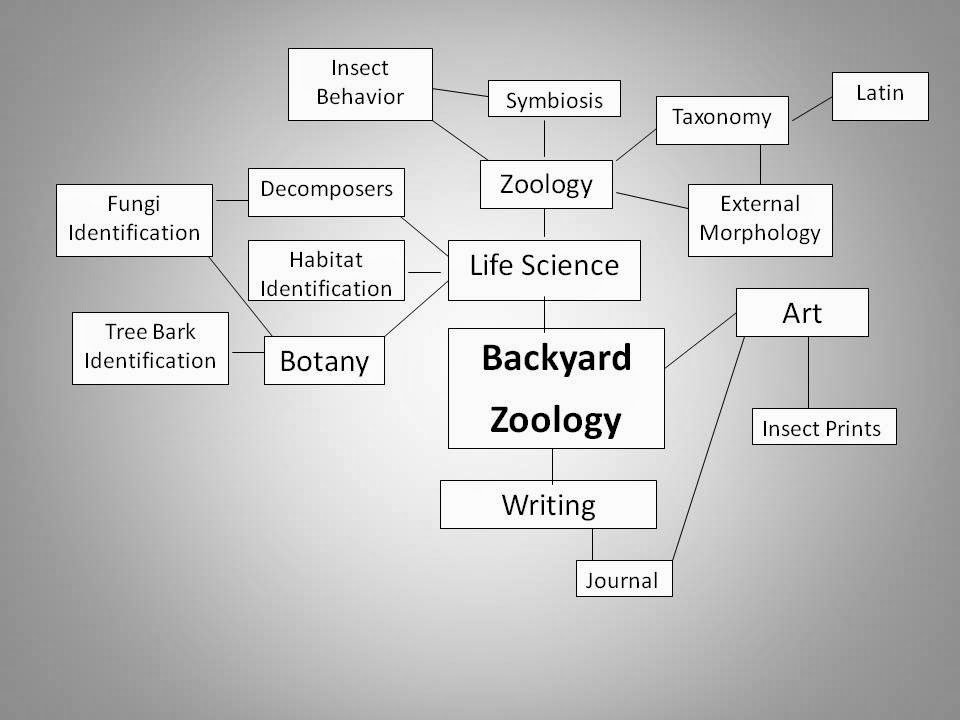 Science Through the Eyes of a Child: Curriculum Webs 2014