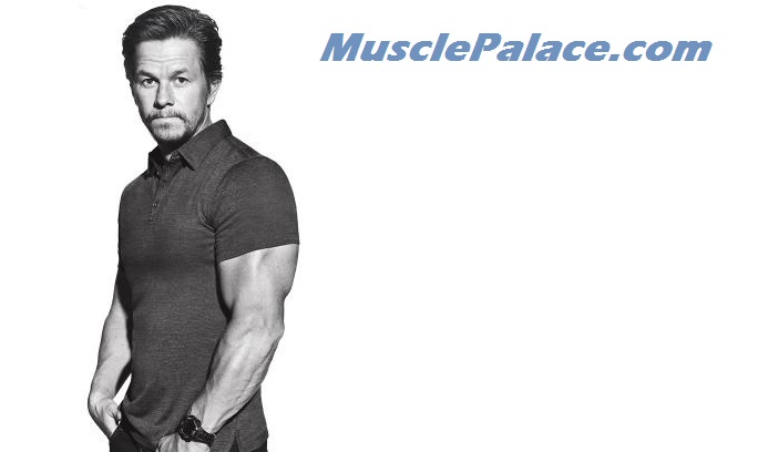 Muscle Palace: Workout Programs