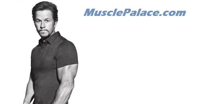 Muscle Palace: Workout Programs