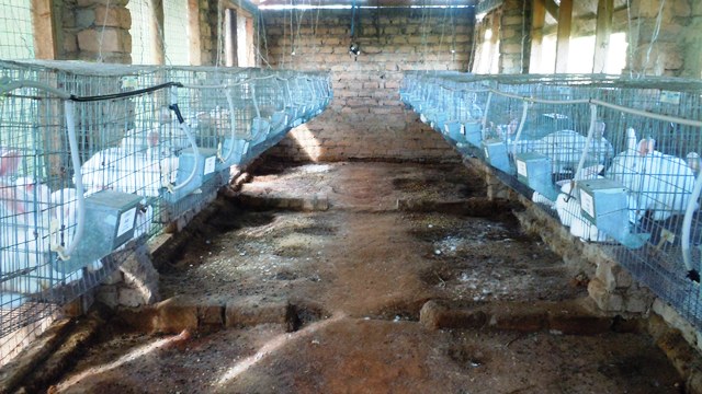 Living on Purpose to Make a Difference: Pictures of our week...We are ...