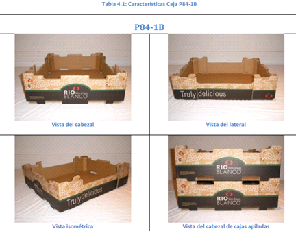 Peruvian Grapes Export::exportación de uvas peruanas: Envase a utilizar