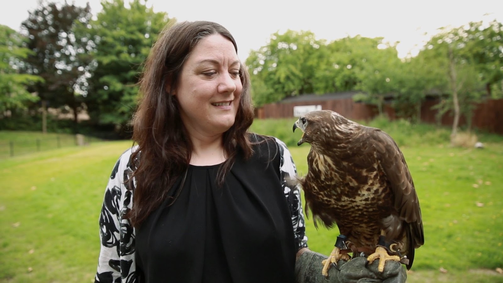 La extraña pareja: Helen McDonald y su halcón Mabel.