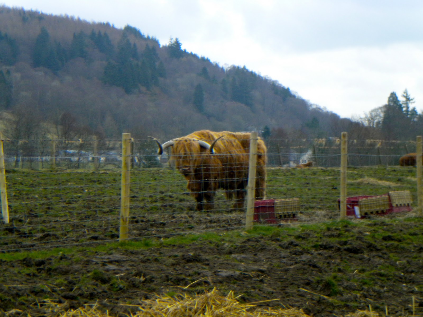 The Adventures of a Little Lady