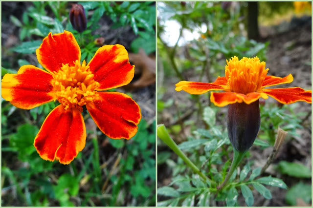 Live and Learn-Toss and Turn: 10/01/2013 - 11/01/2013