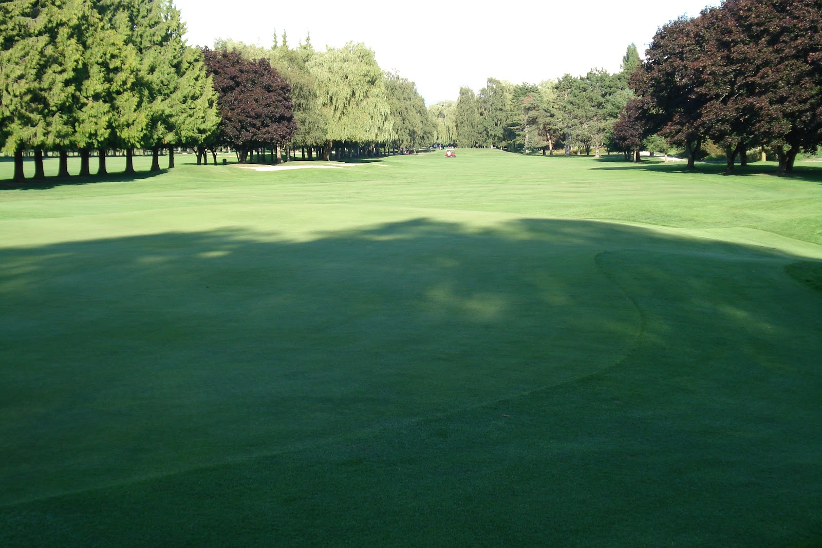 Adventures in Golf Course Architecture: Site Selection