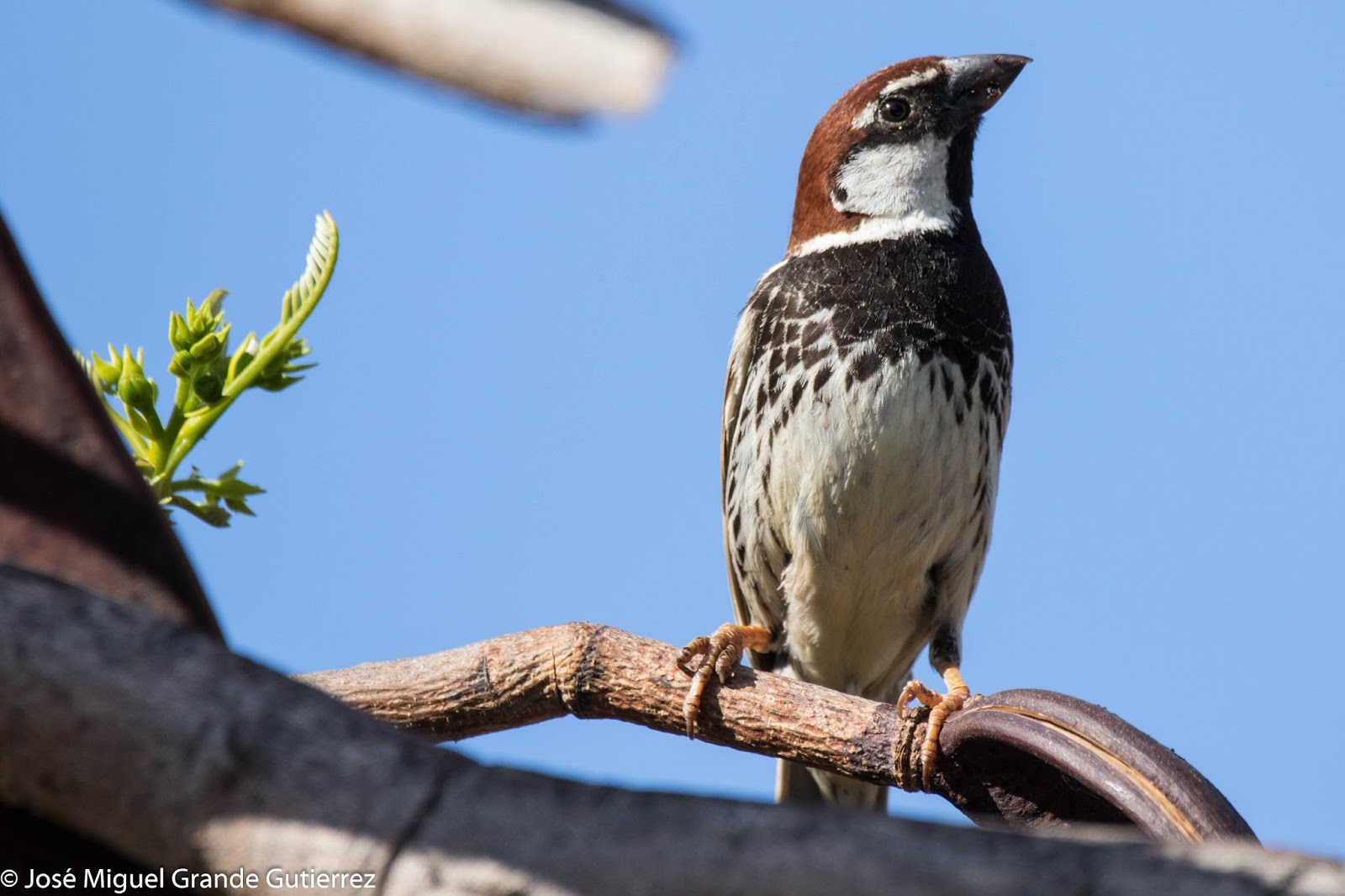 AVECEDARIO2016-UN MUNDO MARAVILLOSO: 06/07/16