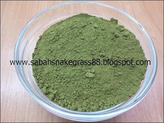Sabah Snake Grass Dealer Singapore: Prices of Sabah Snake Grass Leaves