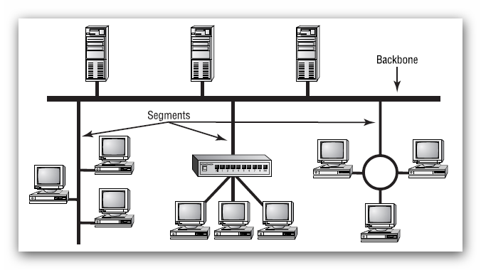 Backbones and Segments ~ Network Services