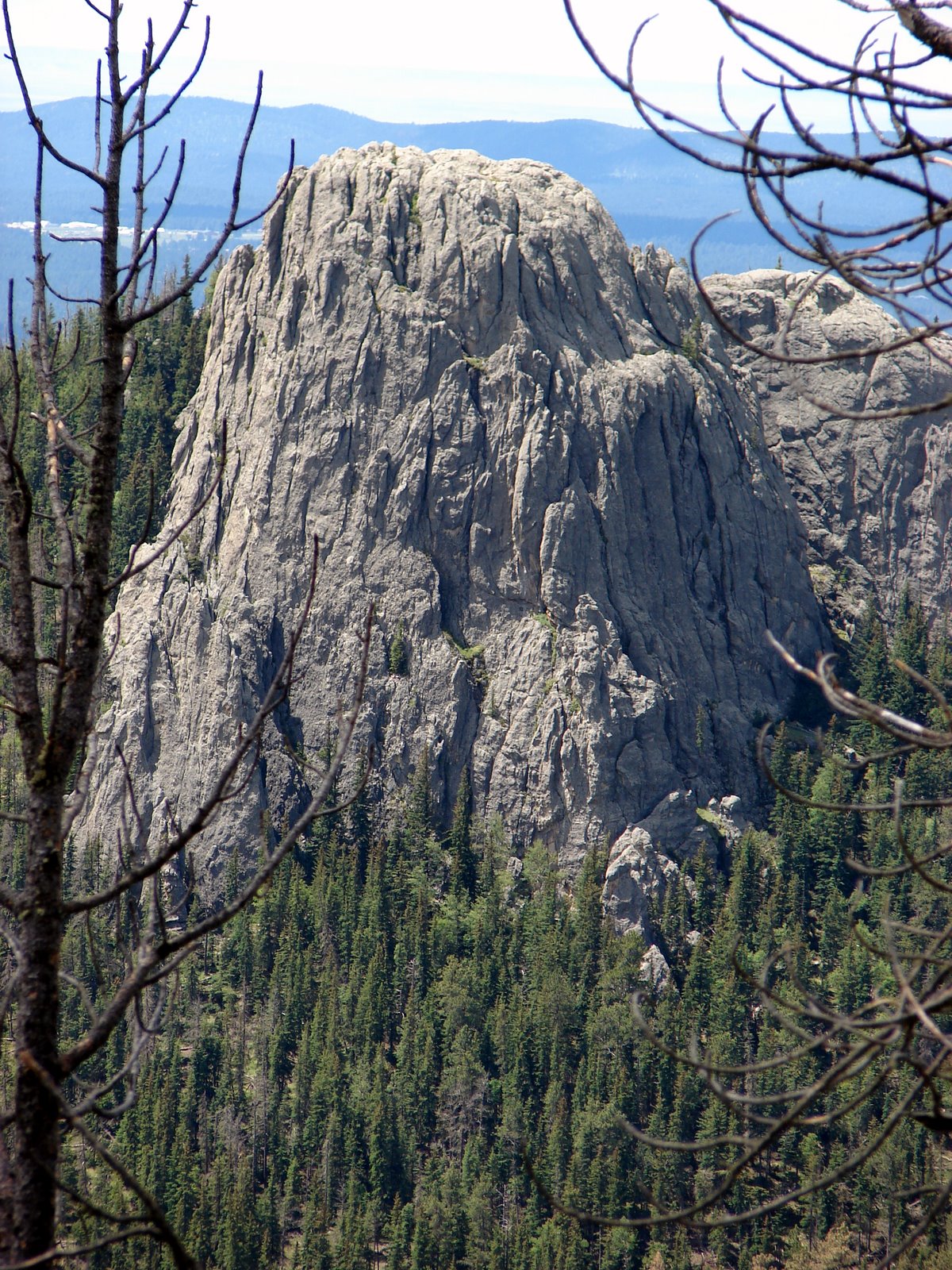 dhsclassmates Site: Custer State Park SD View Near Harney Peak November ...