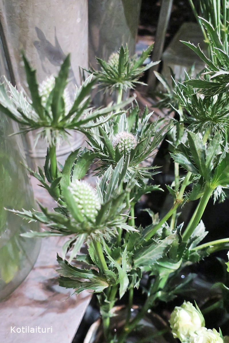 Hygge i Danmark / Kotilaituri