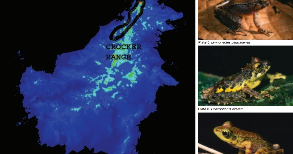 Species New to Science: [Herpetology • 2006] Crocker Range National ...