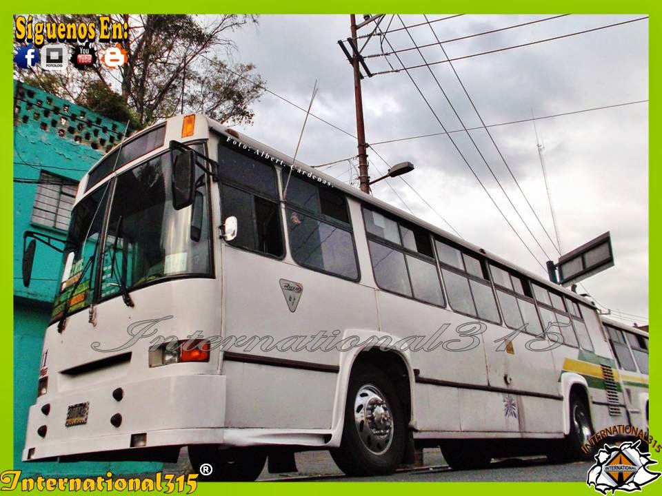 International315.: Dina Casabus, Ruta 1.