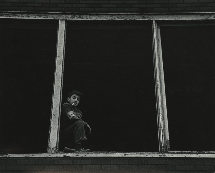 Los Grandes Fotografos: Marvin Newman (1927)