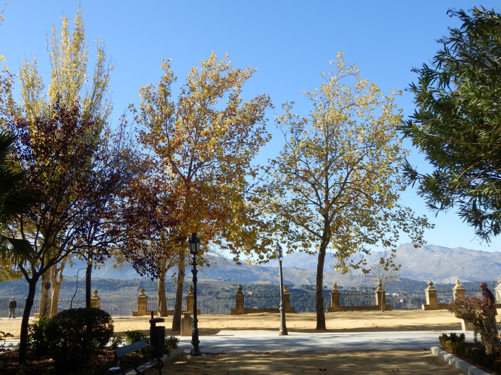 Olvera diary: Ronda