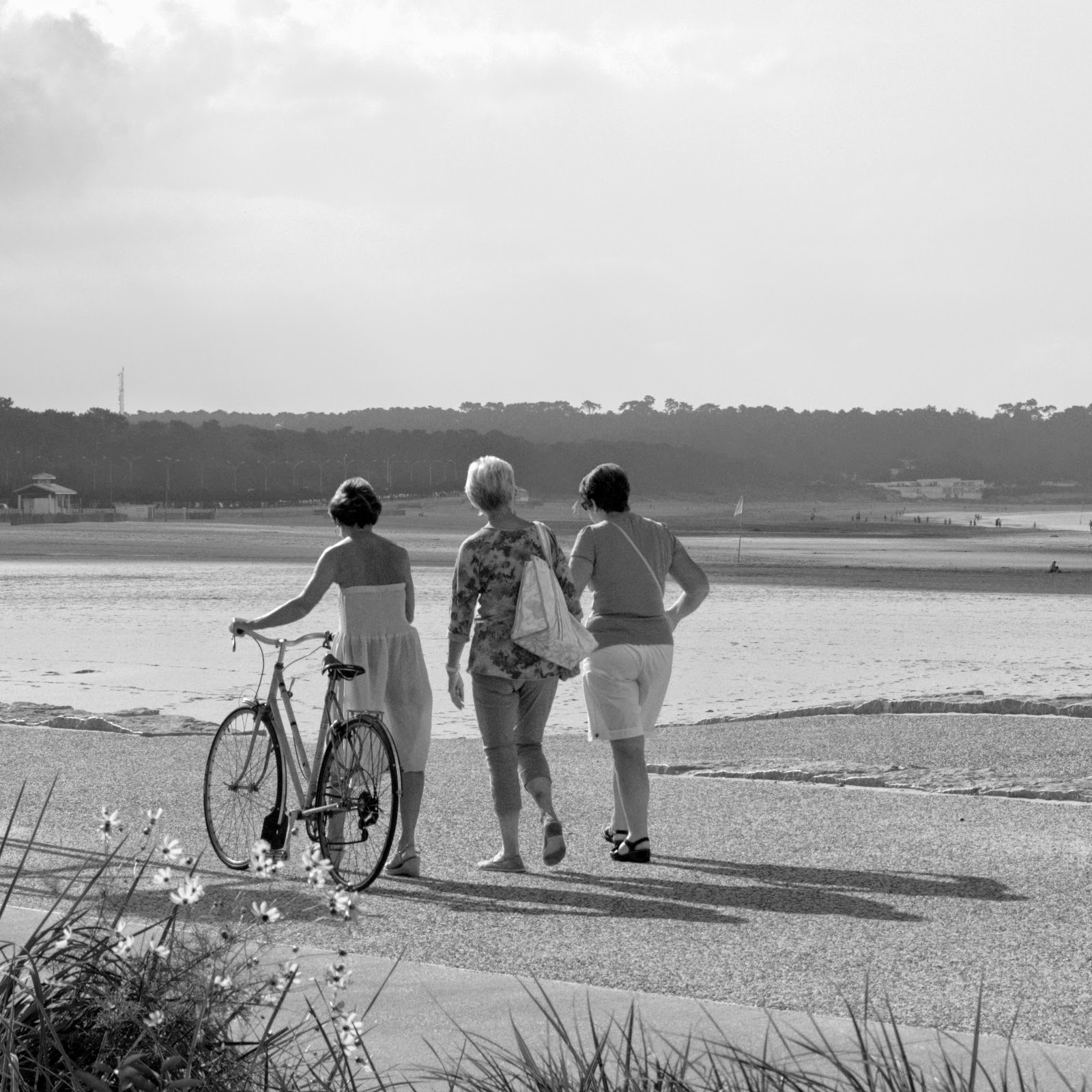 CLIN D'OEIL: LES 3 COPINES ...