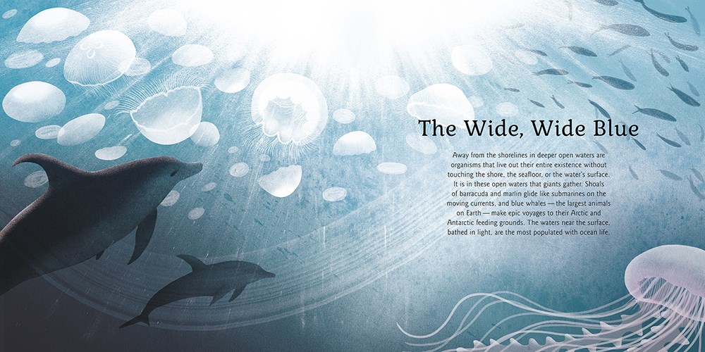 Let's Talk Picture Books: SECRETS OF THE SEA