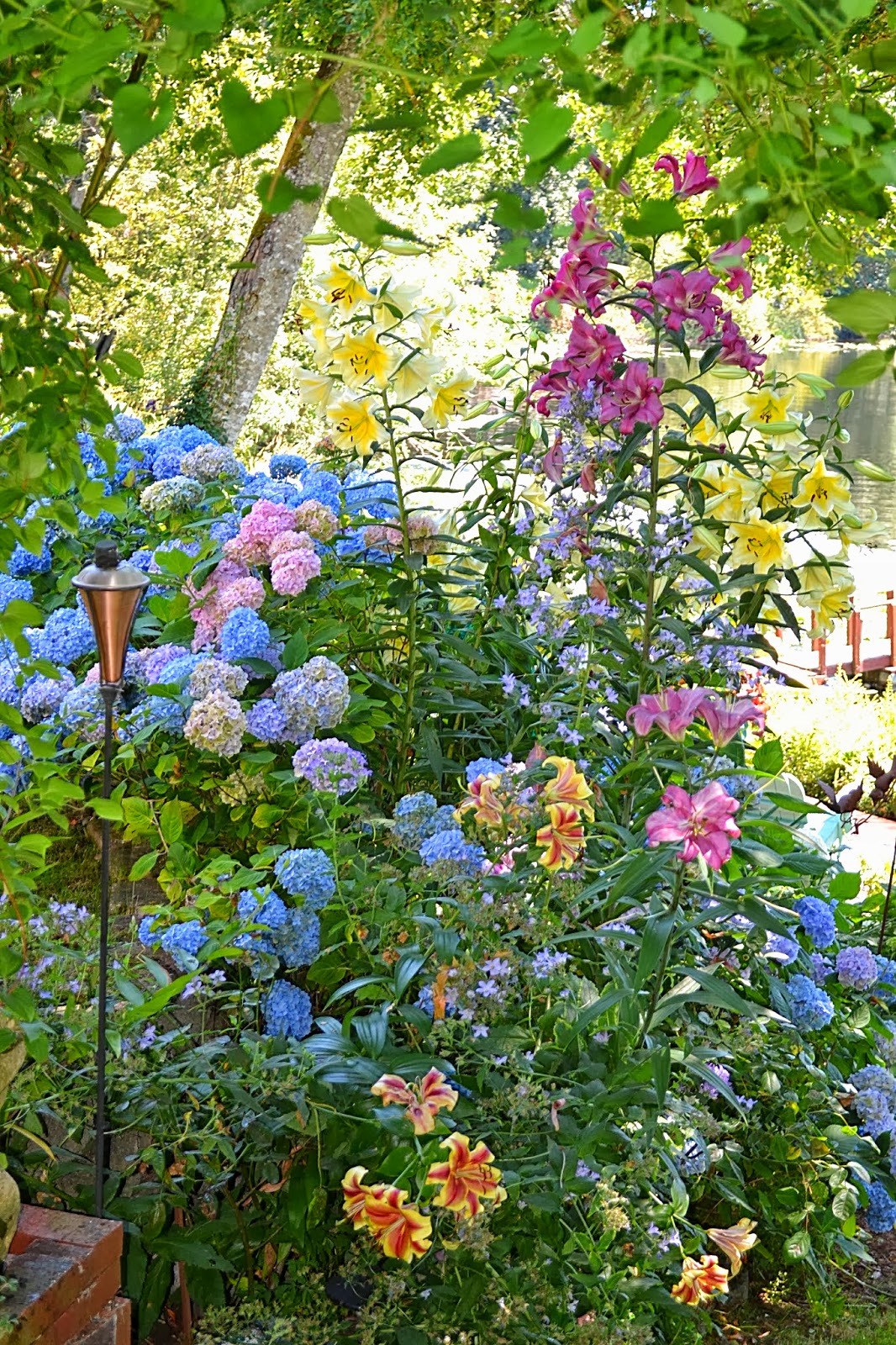 The Outlaw Gardener: The Garden of Paula & Duane Rutan