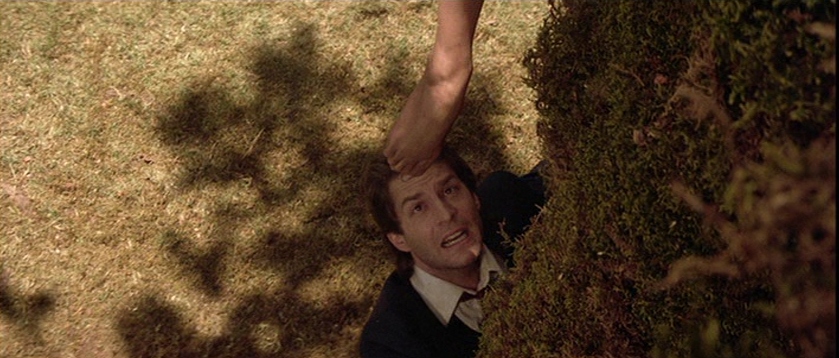 Knotbusters: Sheena 1984