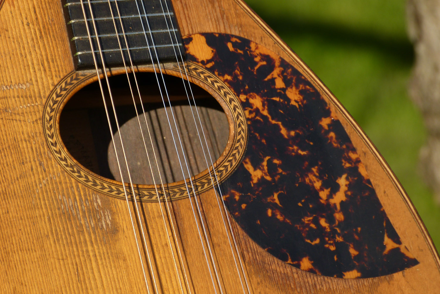 1914 Martin Style B Flatback Mandolin