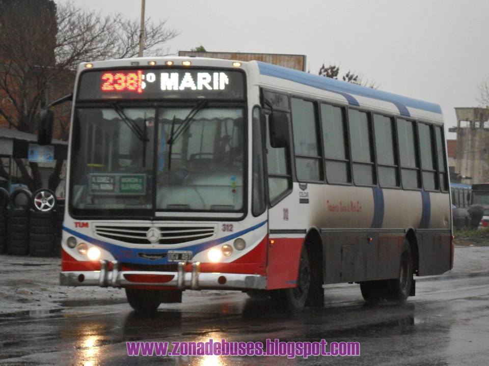 Colectibus - Zona de Buses: LINEA 238